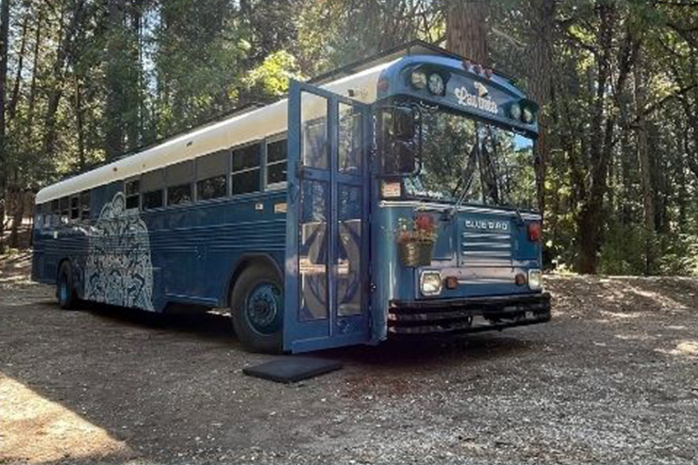 Blue Bird Bus - BCM